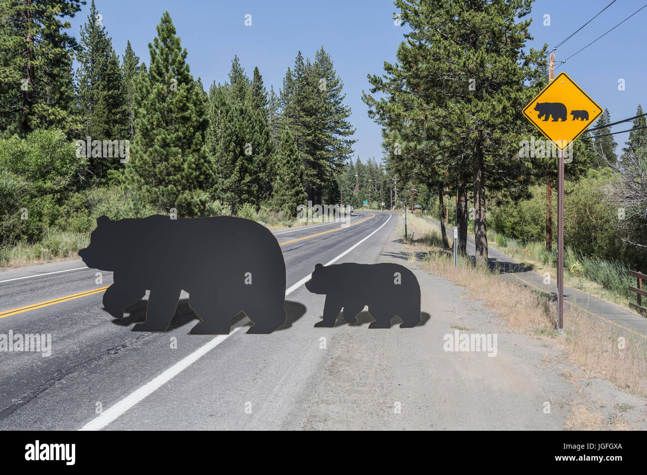 Bear crossing road sign hi-res stock photography and images - Alamy