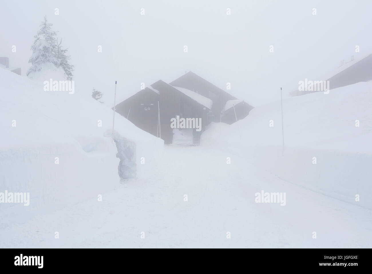 Driveway house u hi-res stock photography and images - Alamy