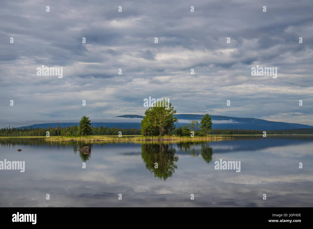 Wooded shore of a large lake. Forests along the coast. Kola Peninsula ...