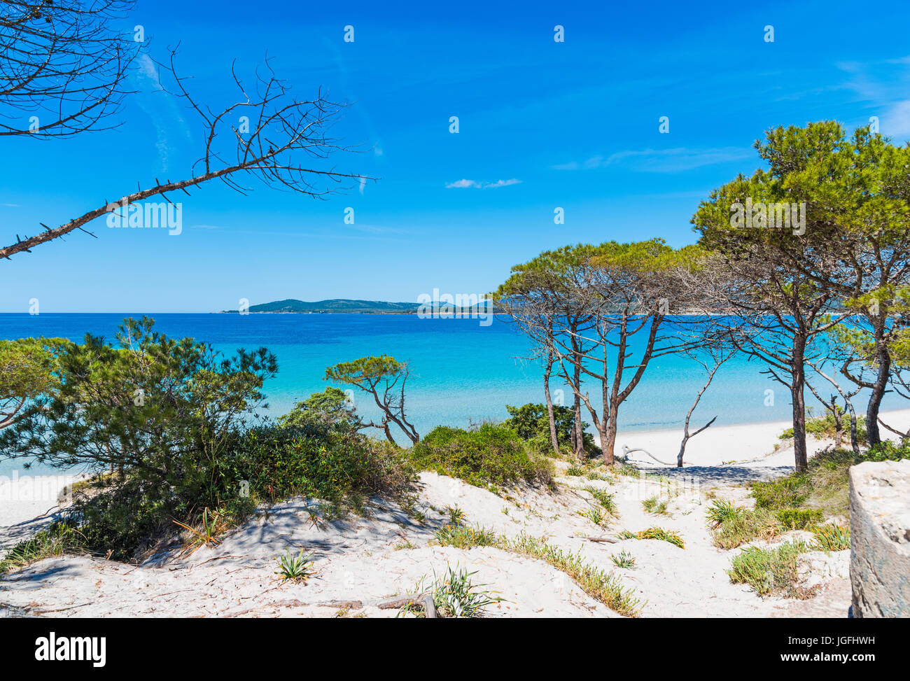 Pine trees and turquoise water in Maria Pia beach Stock Photo - Alamy