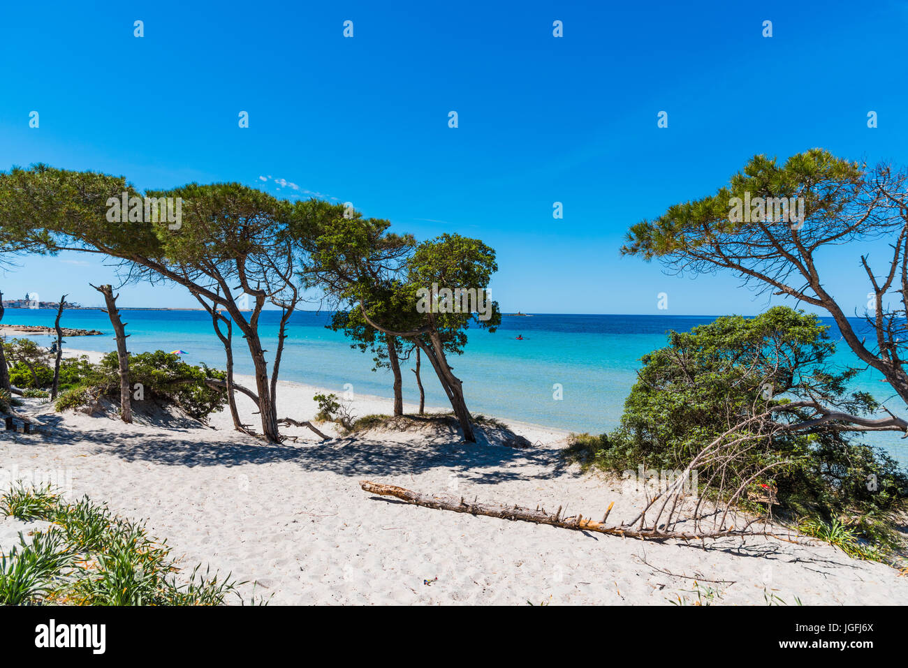 Pine trees and turquoise water in Maria Pia beach Stock Photo - Alamy
