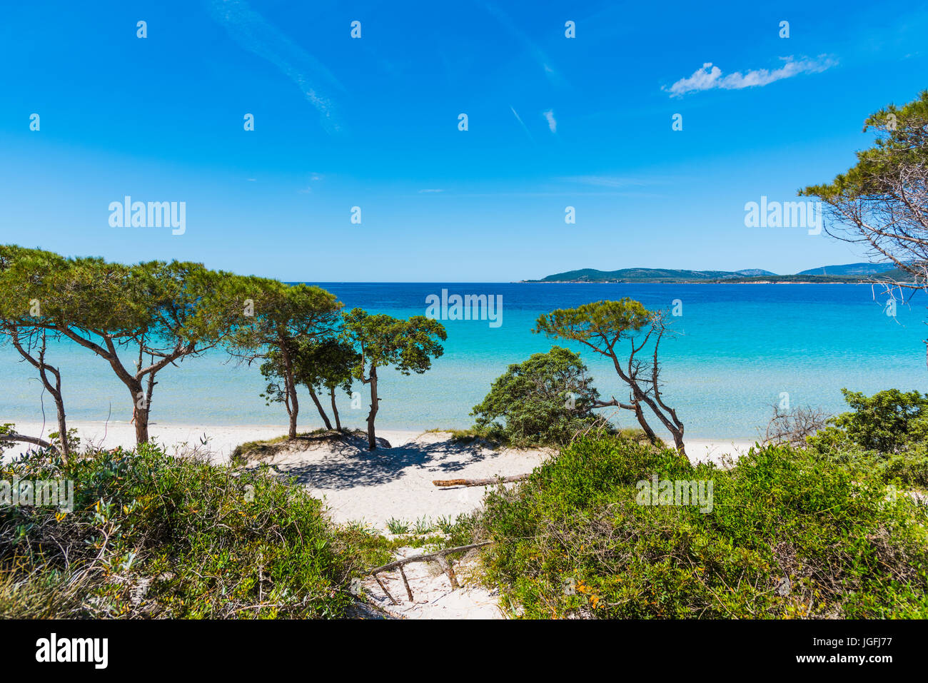 Pine trees and turquoise water in Maria Pia beach Stock Photo - Alamy