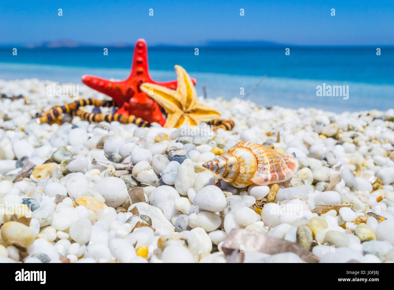 star fish on the sand Stock Photo - Alamy