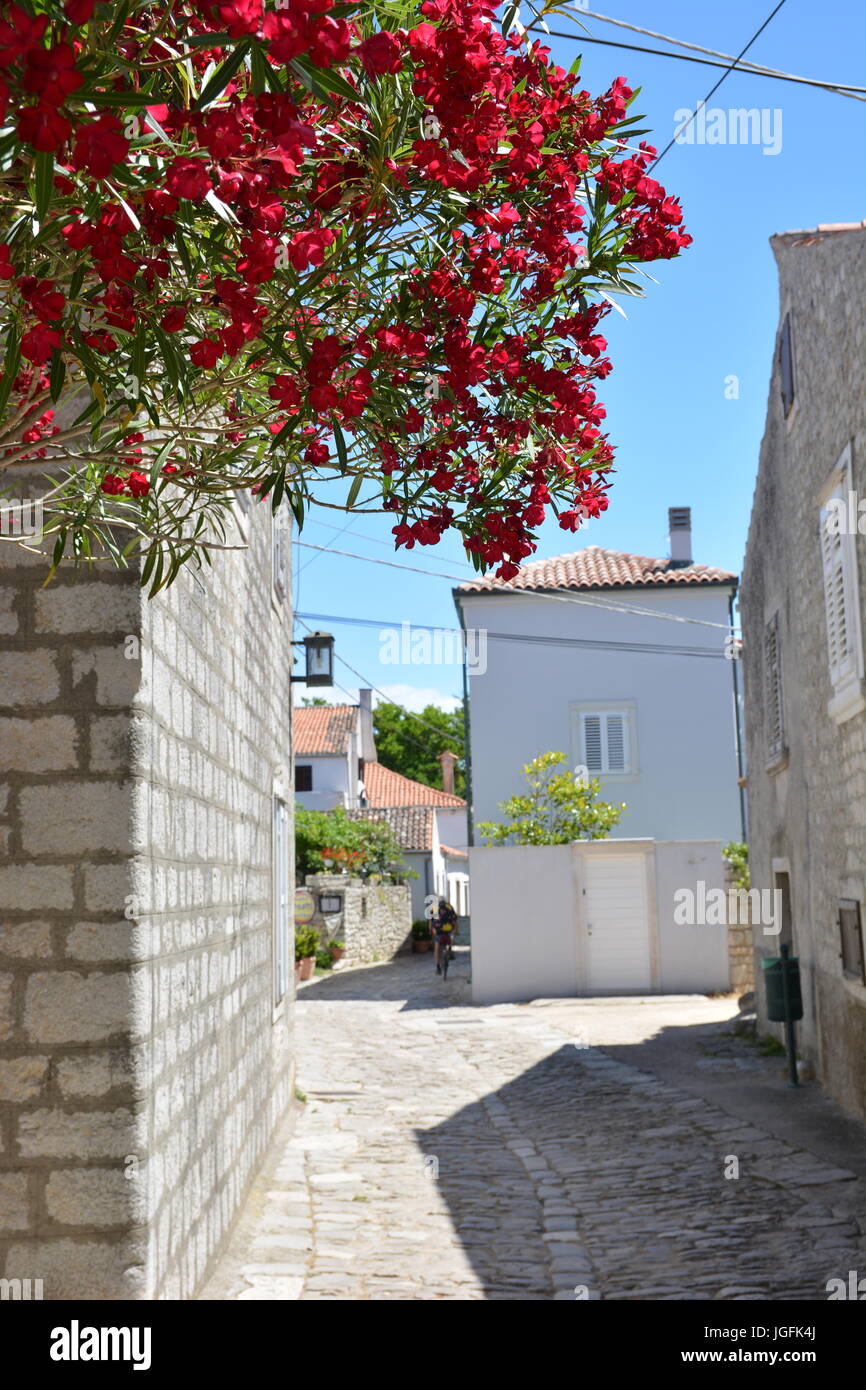 Osor village cres island croatia hi-res stock photography and images ...