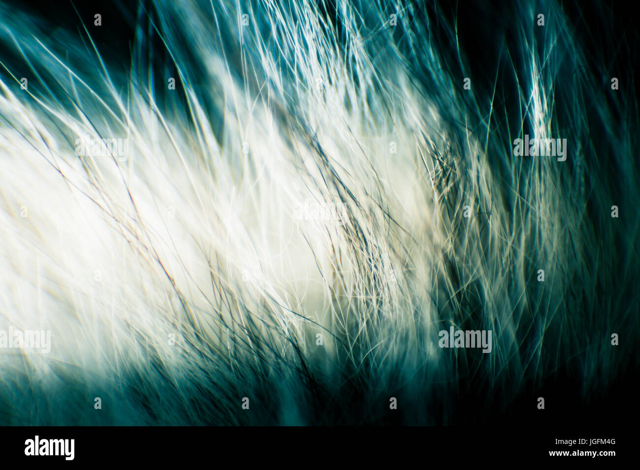 Goat hair material hi-res stock photography and images - Alamy