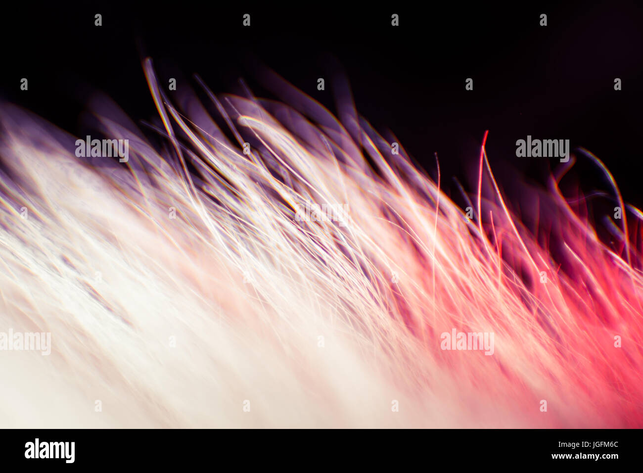 Artistic colors hi-res stock photography and images - Alamy