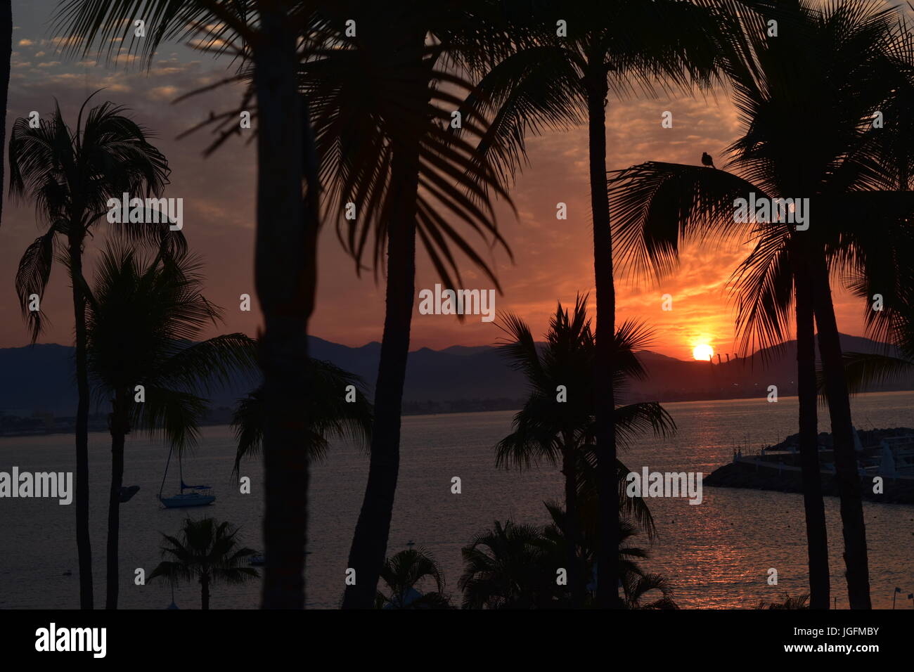 Manzanillo mexico hi-res stock photography and images - Alamy