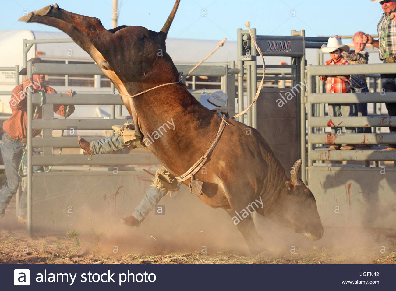 Rodeo Animal Rights Stock Photos & Rodeo Animal Rights Stock Images - Alamy