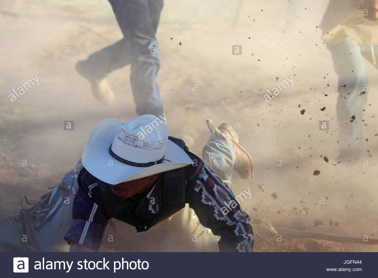 Bull Dust Stock Photos & Bull Dust Stock Images - Alamy
