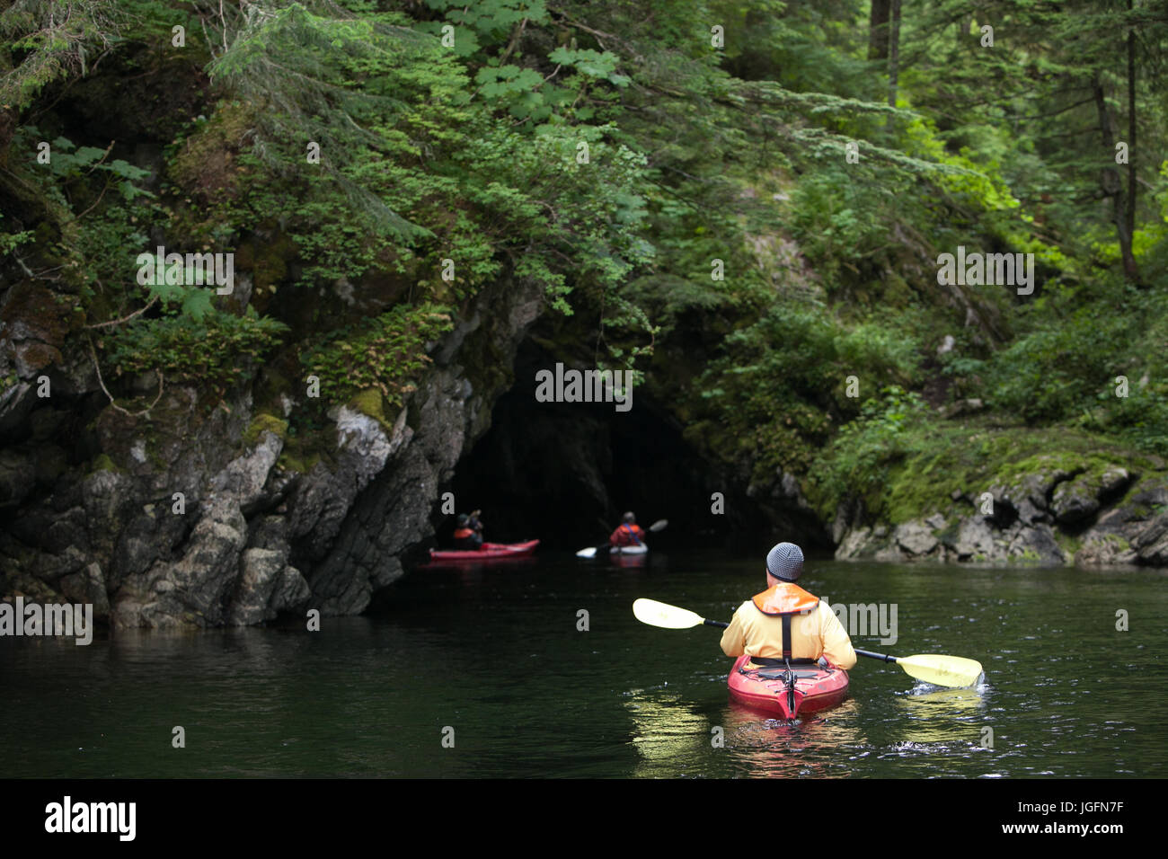 Tall narrow trees hi-res stock photography and images - Alamy