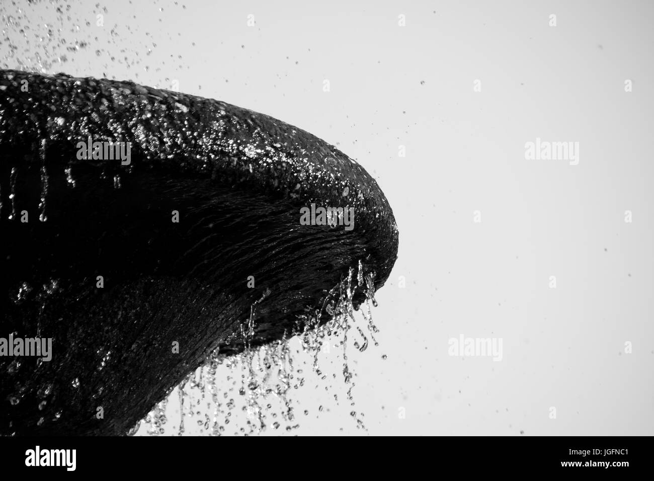 Water dripping from fountain Stock Photo - Alamy
