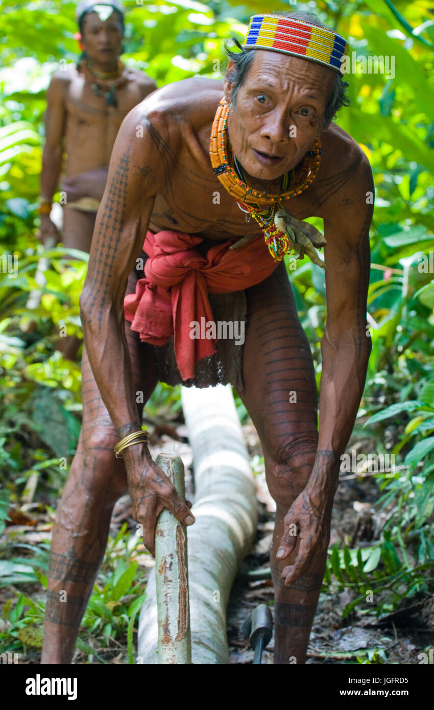 MENTAWAI PEOPLE, WEST SUMATRA, SIBERUT ISLAND, INDONESIA – 16 NOVEMBER ...