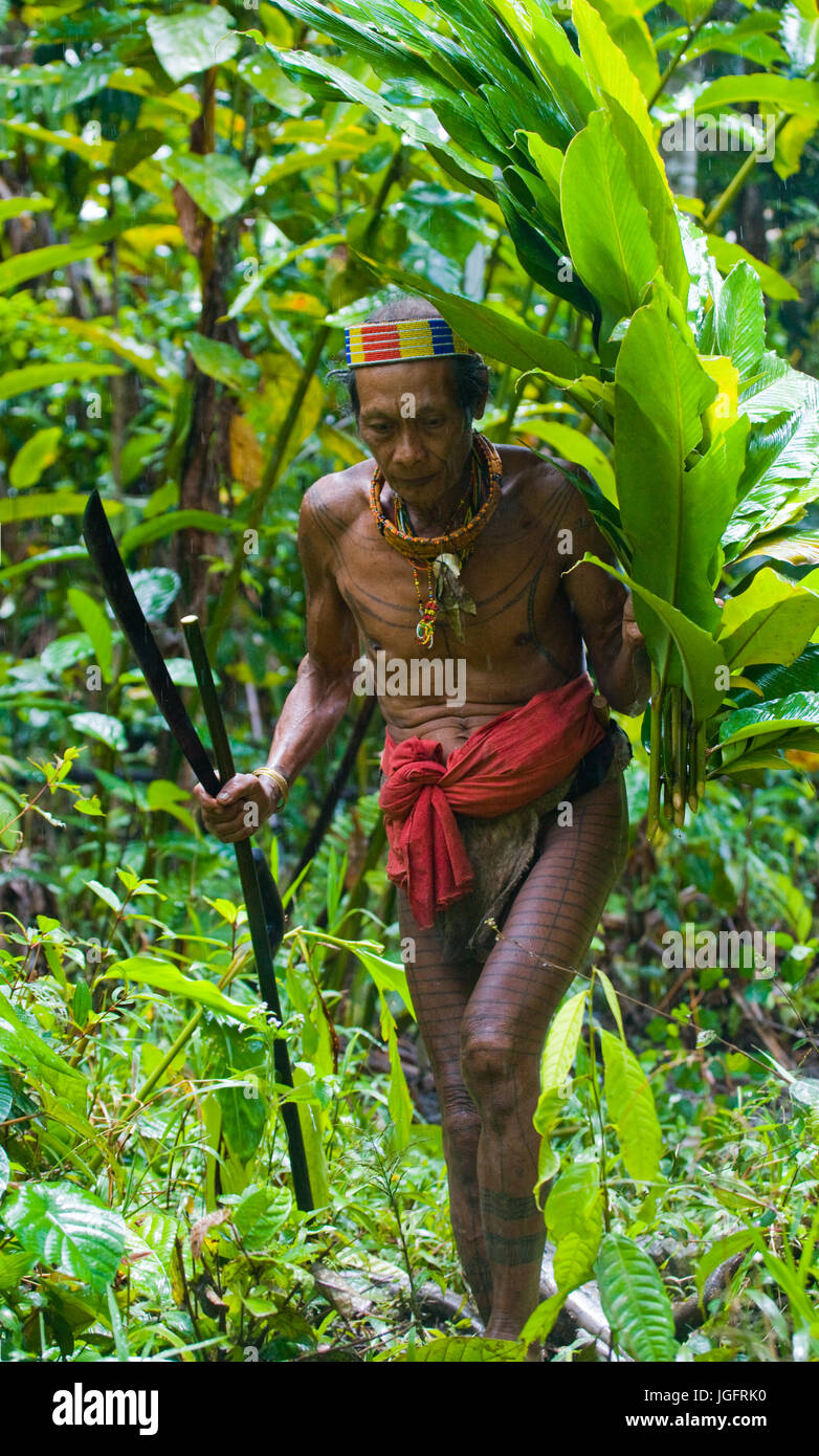 MENTAWAI PEOPLE, WEST SUMATRA, SIBERUT ISLAND, INDONESIA – 03 OKTOBER ...