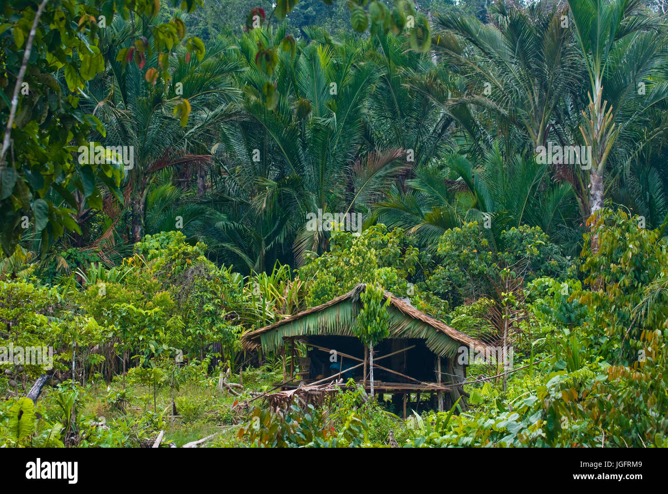 MENTAWAI PEOPLE, WEST SUMATRA, SIBERUT ISLAND, INDONESIA – 16 NOVEMBER ...