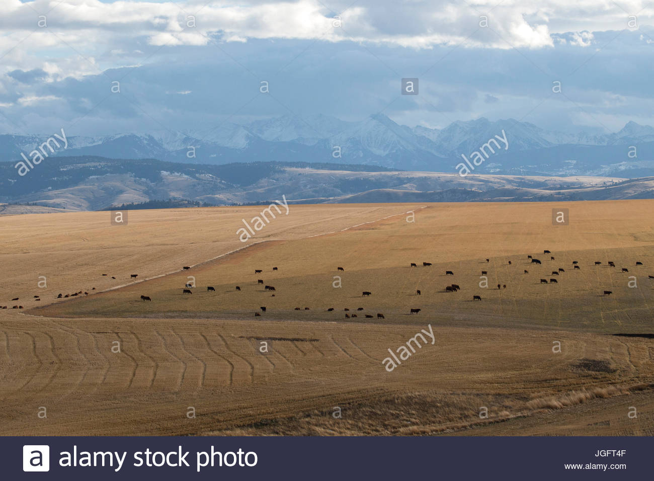 Montana Prairie Stock Photos & Montana Prairie Stock Images - Alamy