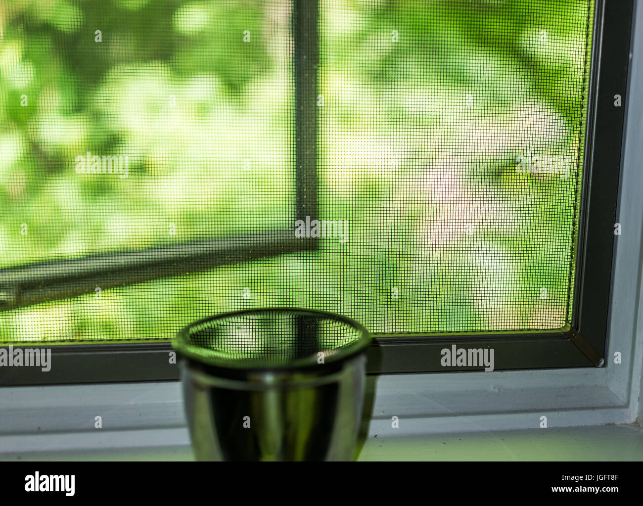 Green mesh screen hi-res stock photography and images - Alamy