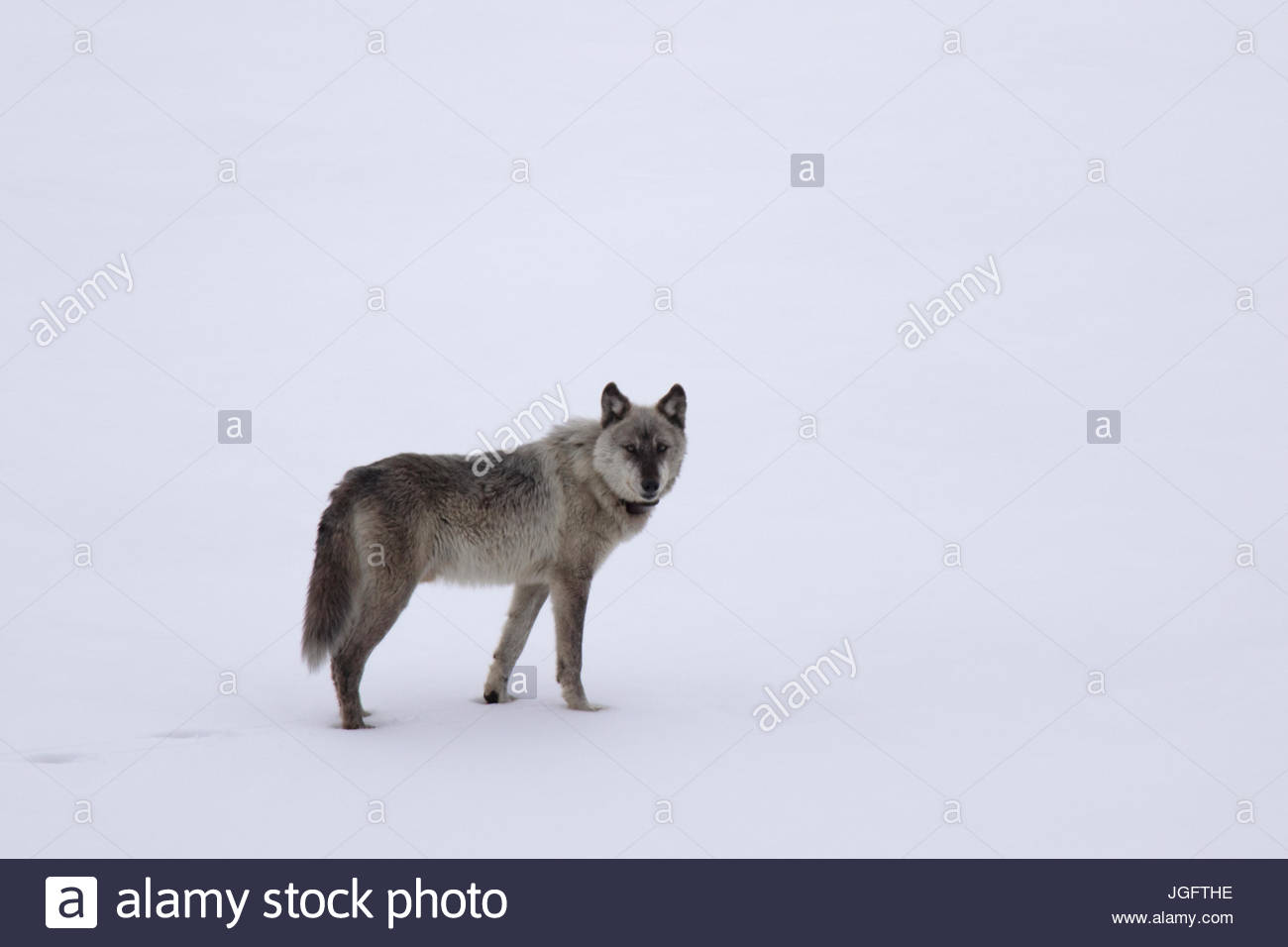 Tracking Stock Photos & Tracking Stock Images - Alamy