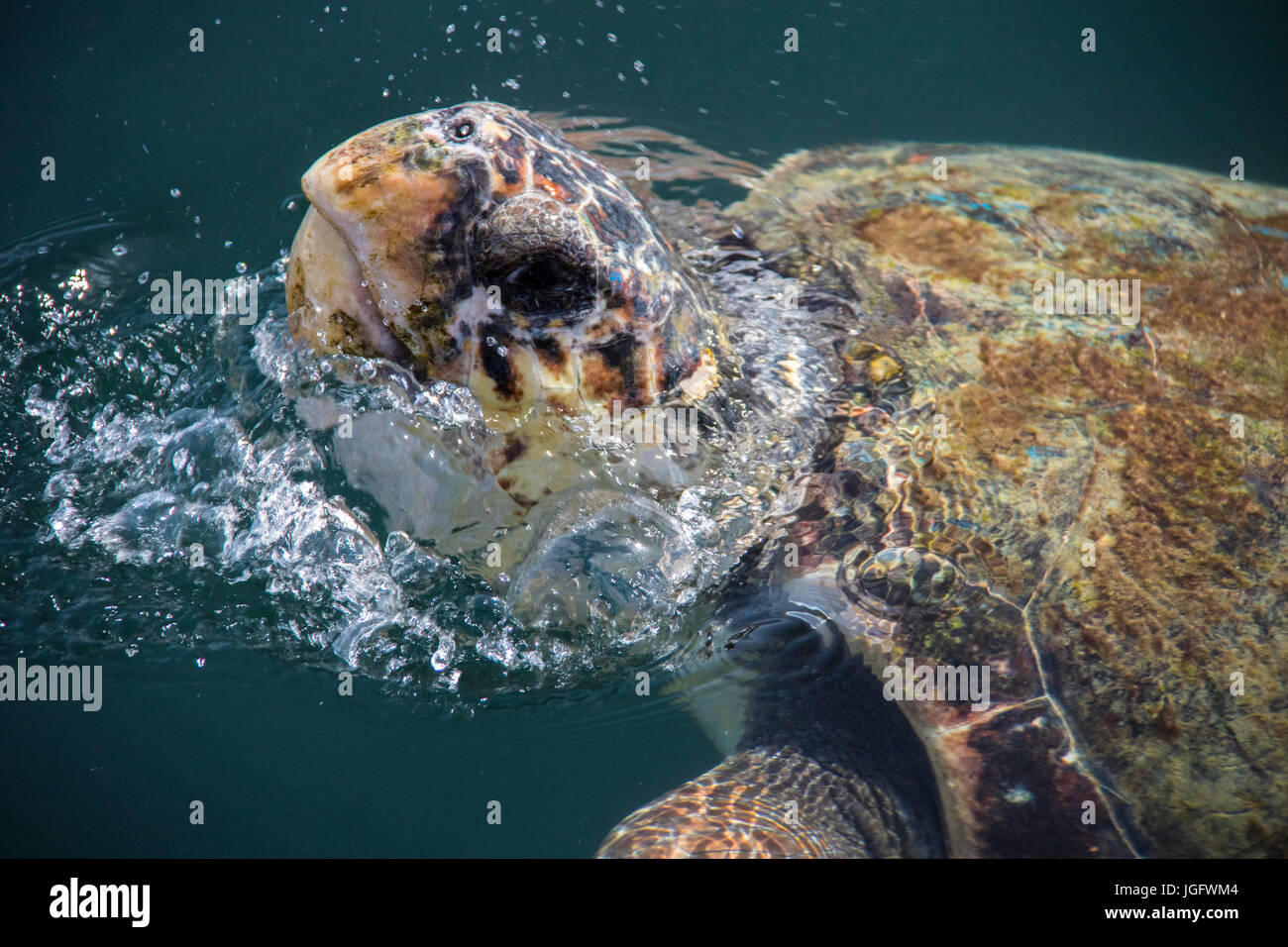 Drapano bridge argostoli kefalonia hi-res stock photography and images ...