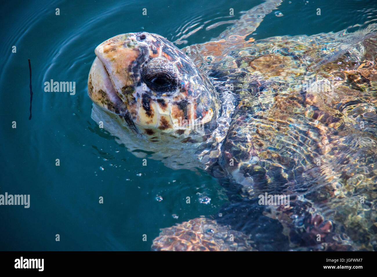 Drapano bridge argostoli kefalonia hi-res stock photography and images ...
