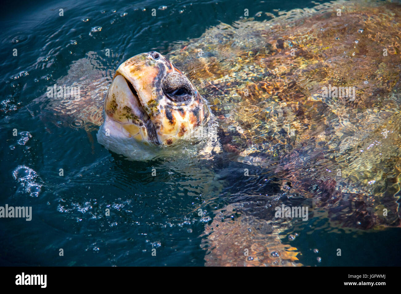 Drapano bridge argostoli kefalonia hi-res stock photography and images ...