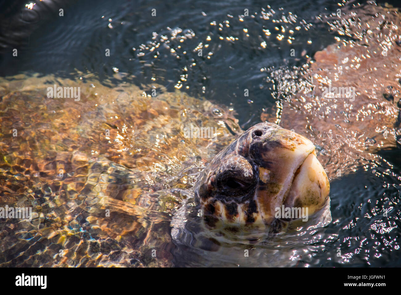 Drapano bridge argostoli kefalonia hi-res stock photography and images ...