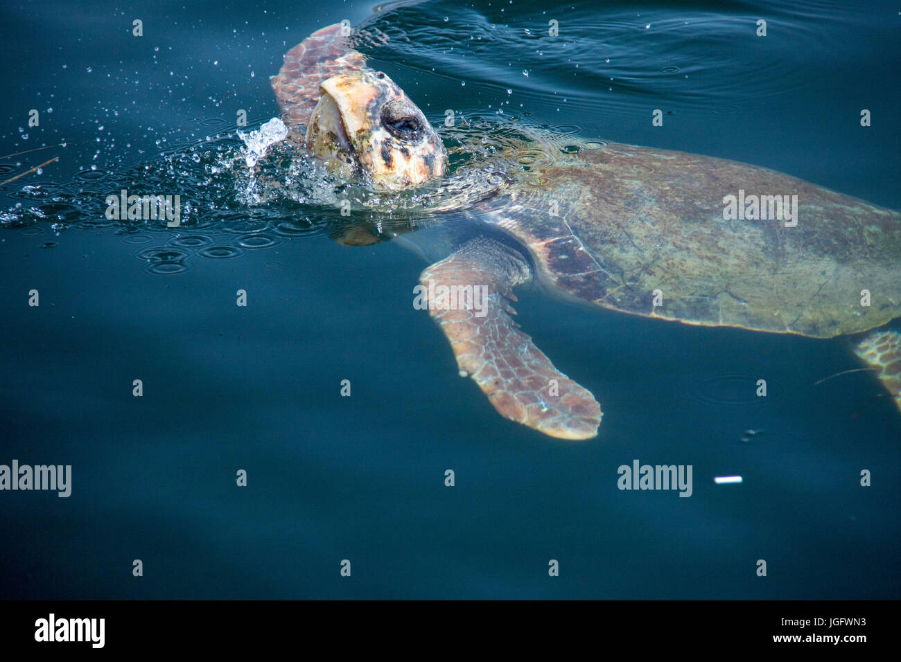 Drapano bridge argostoli kefalonia hi-res stock photography and images ...