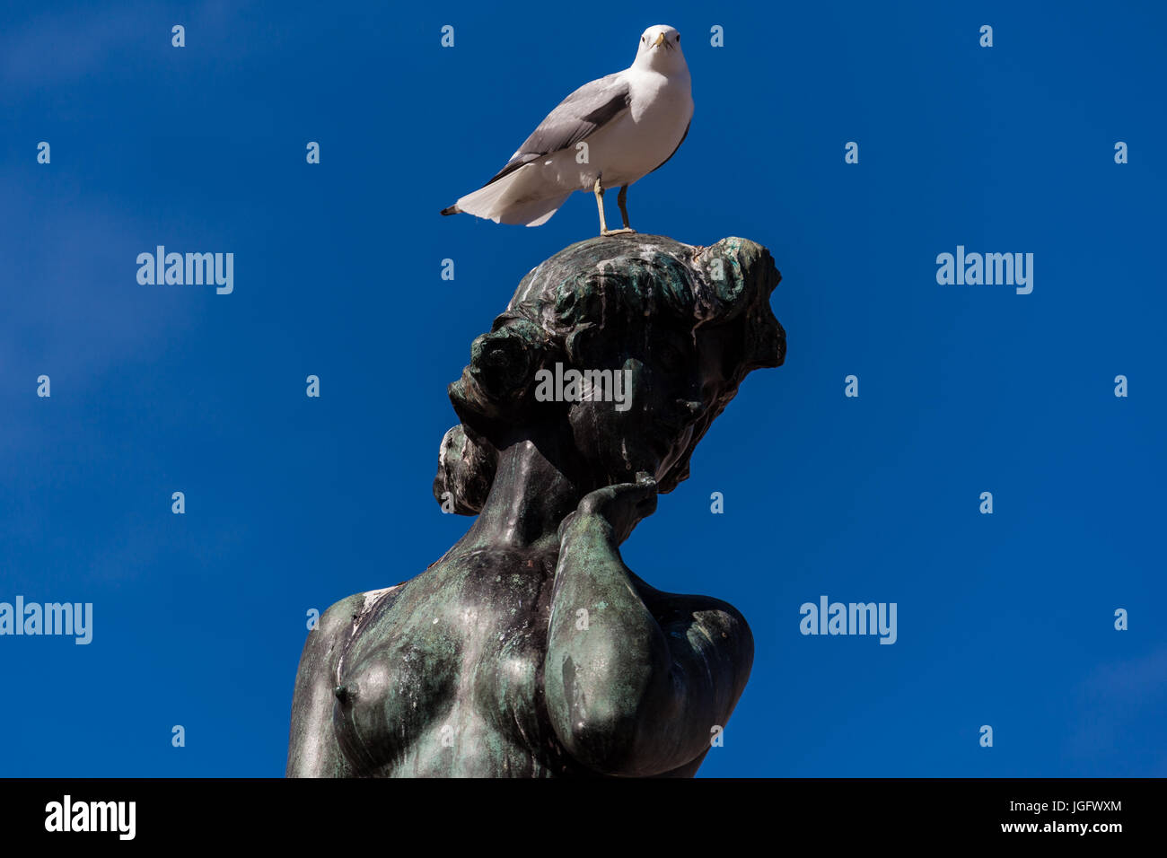 Fountain night moon water hi-res stock photography and images - Alamy
