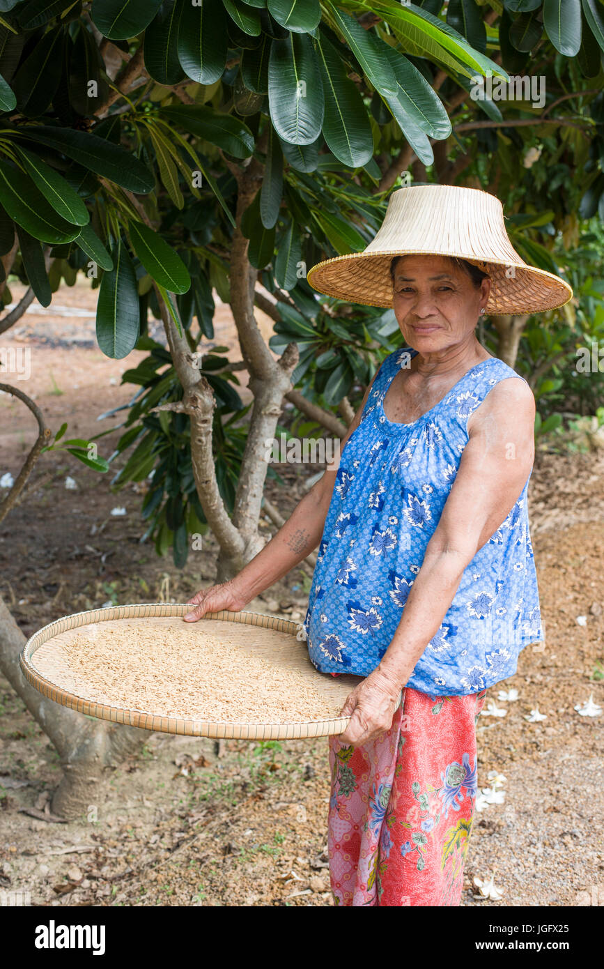 Removing husk hi-res stock photography and images - Alamy