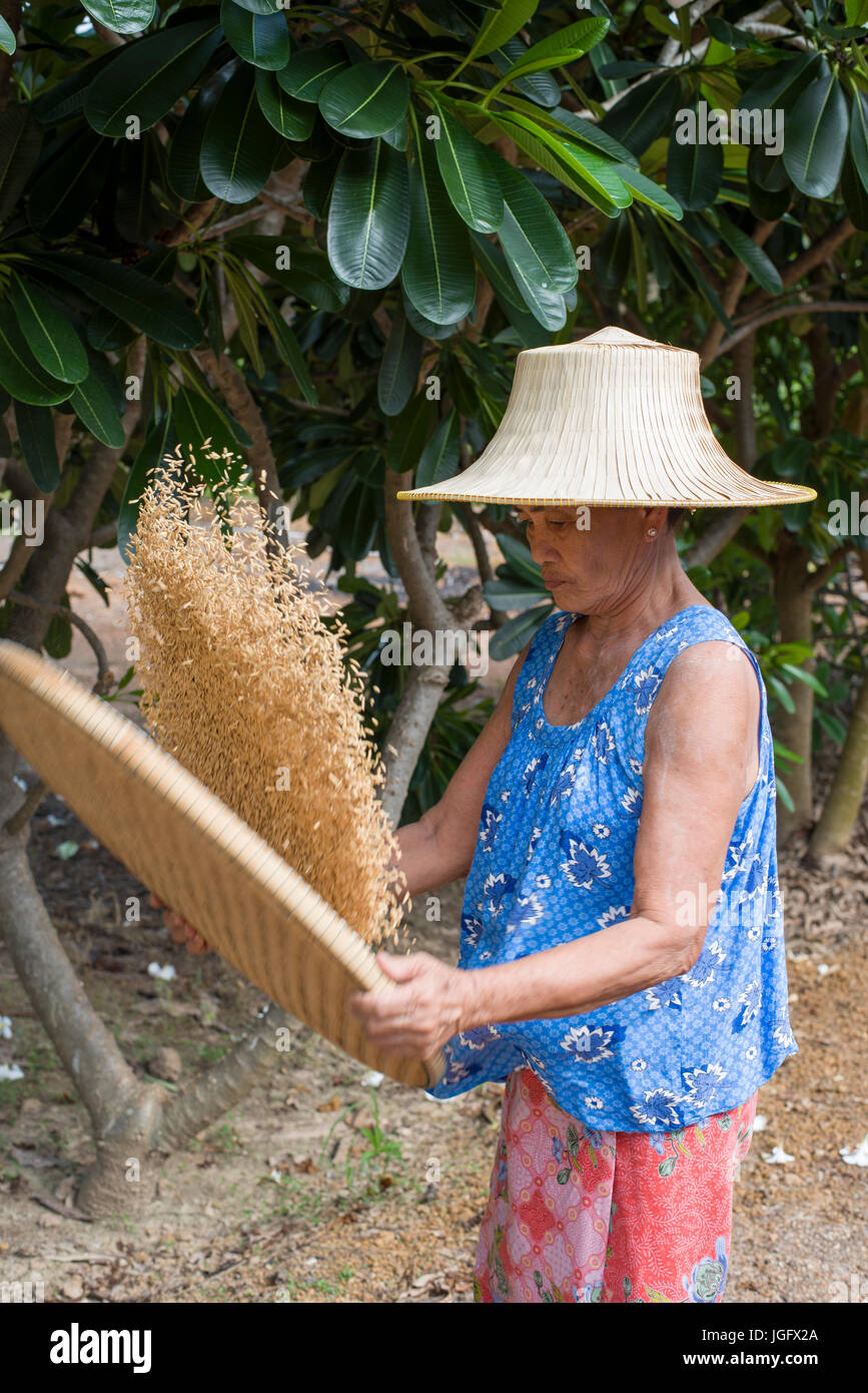 Traditional rice throwing hi-res stock photography and images - Alamy