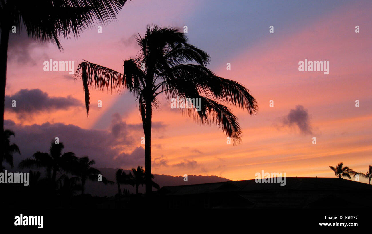 Sunrise rainbow palm tree hi-res stock photography and images - Alamy