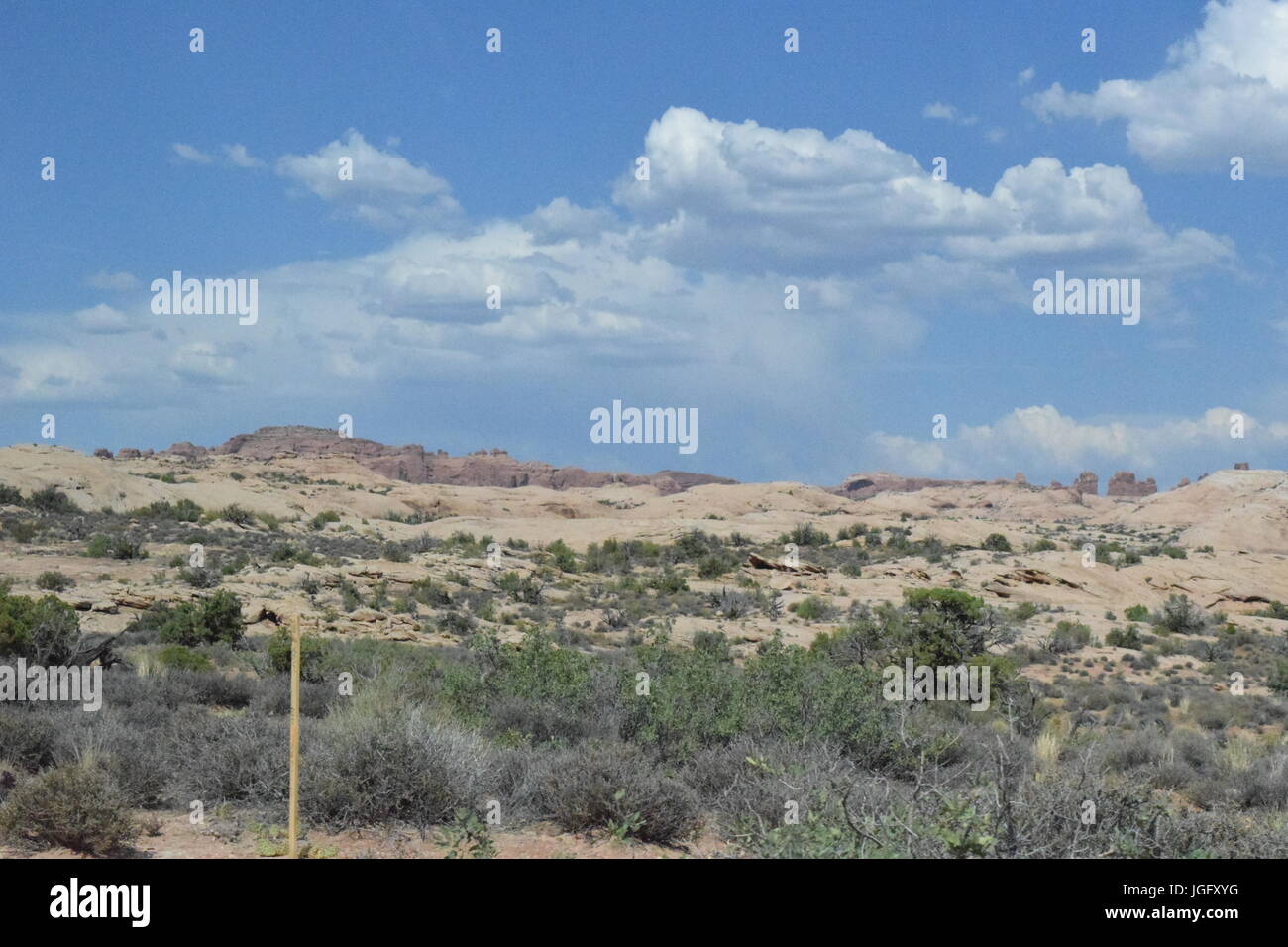 Sparse greenery in distance hi-res stock photography and images - Alamy