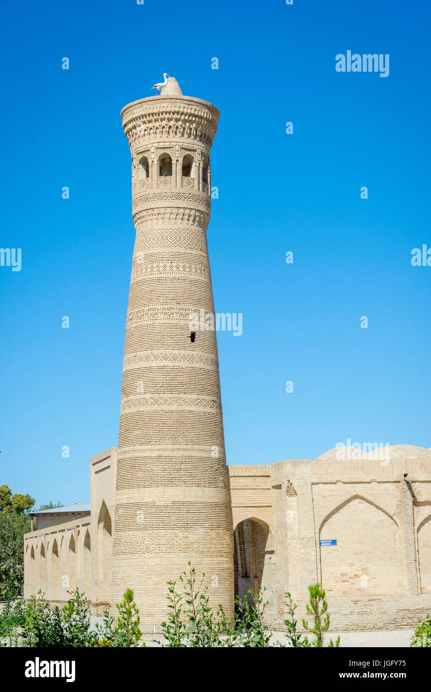 Kalyan minaret hi-res stock photography and images - Alamy