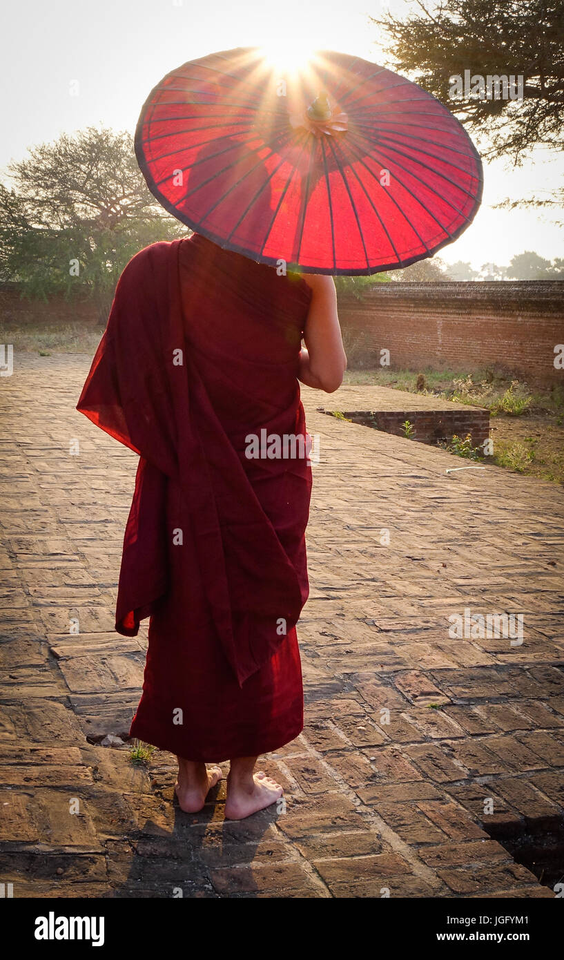 A Buddhist monk in the red robe with umbrella at the brick temple Stock ...
