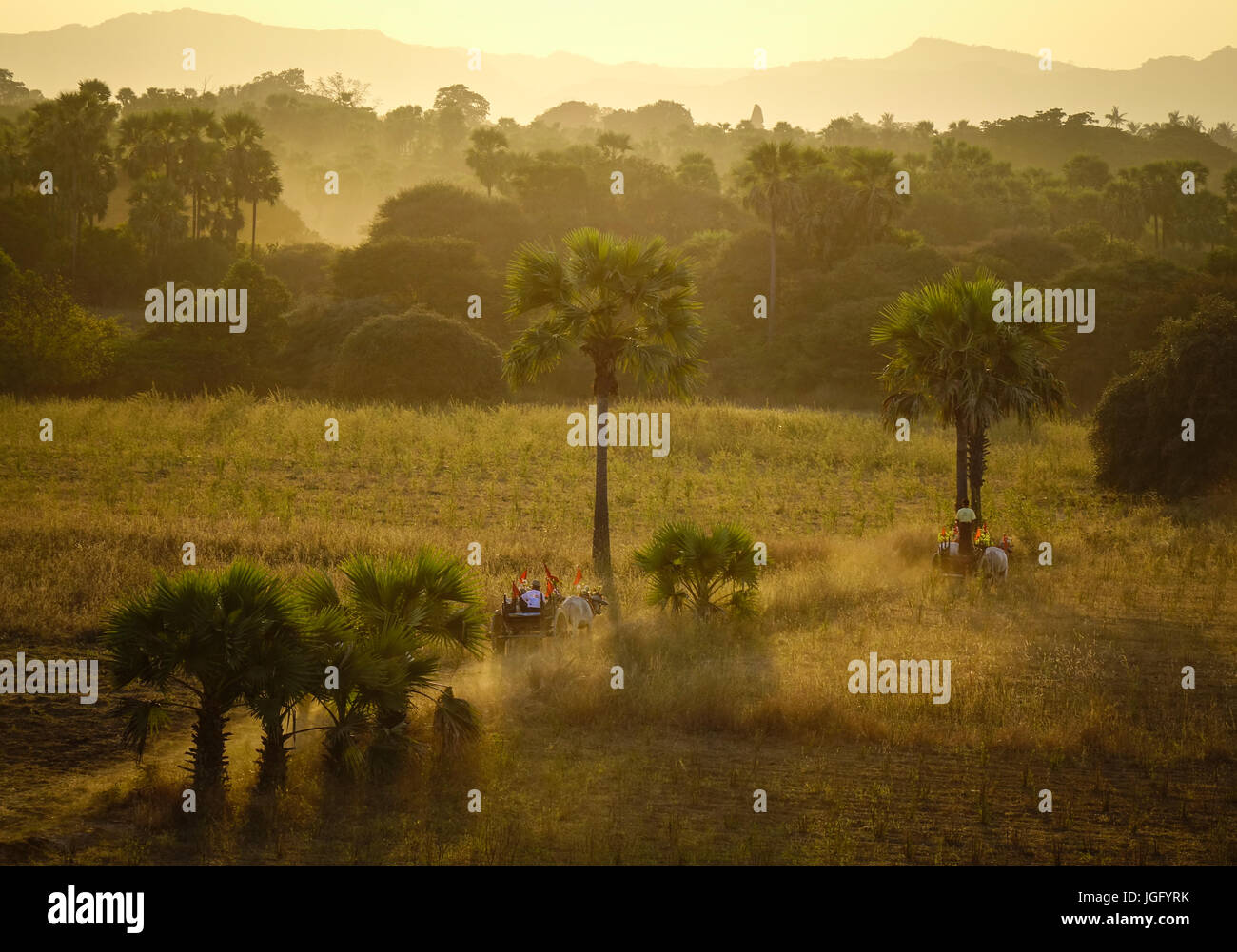 View of rural road at sunset in Bagan, Myanmar. Bagan is an ancient ...