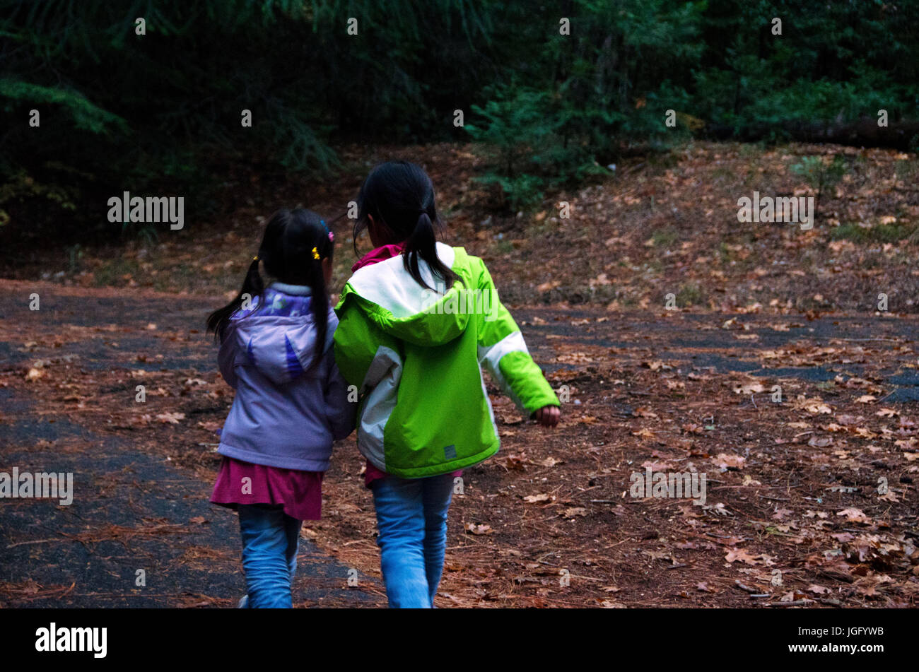 2 sisters linking arms as they walk in Yosemite Stock Photo - Alamy