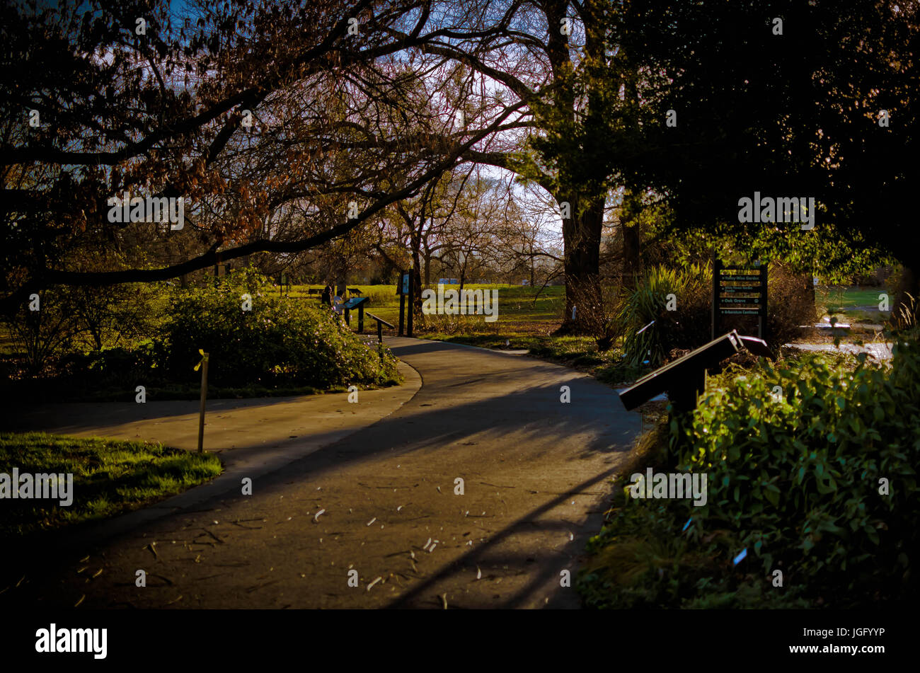 Sunset in the arboretum in Davis, CA Stock Photo - Alamy