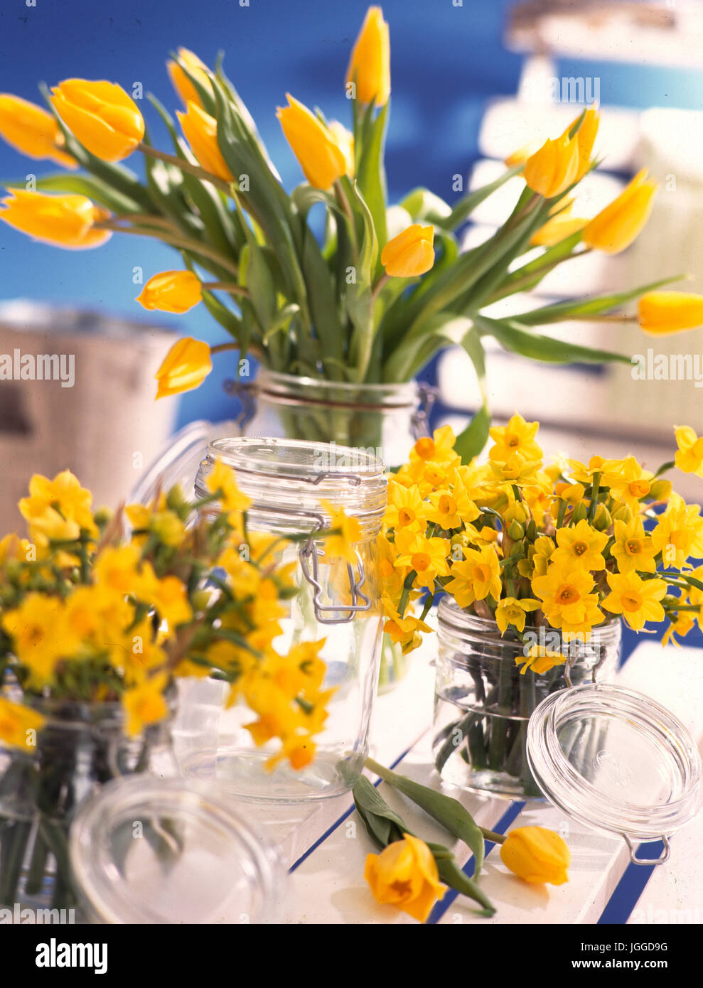 Spring flower arrangement tulips daffodils hi-res stock photography and ...