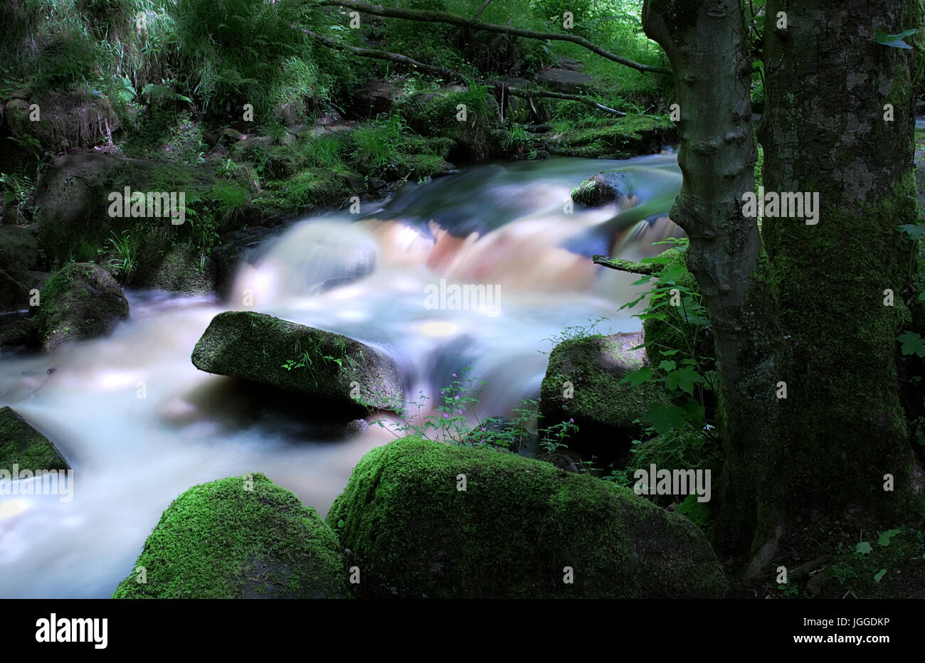 Heavy spring water flow hi-res stock photography and images - Alamy