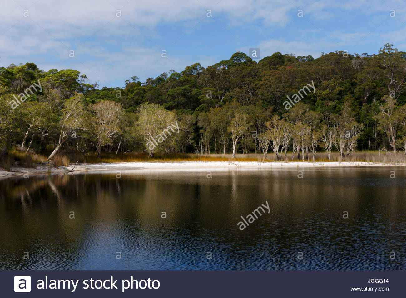 Cooloola National Park Stock Photos & Cooloola National Park Stock ...