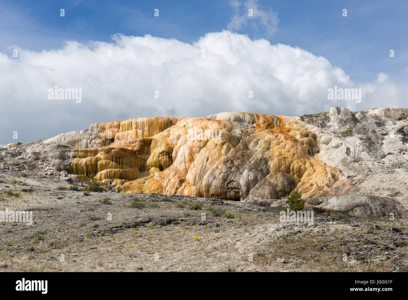 Cleopatra Terrace, Mammoth Hot Springs, Yellowstone National Park Stock ...