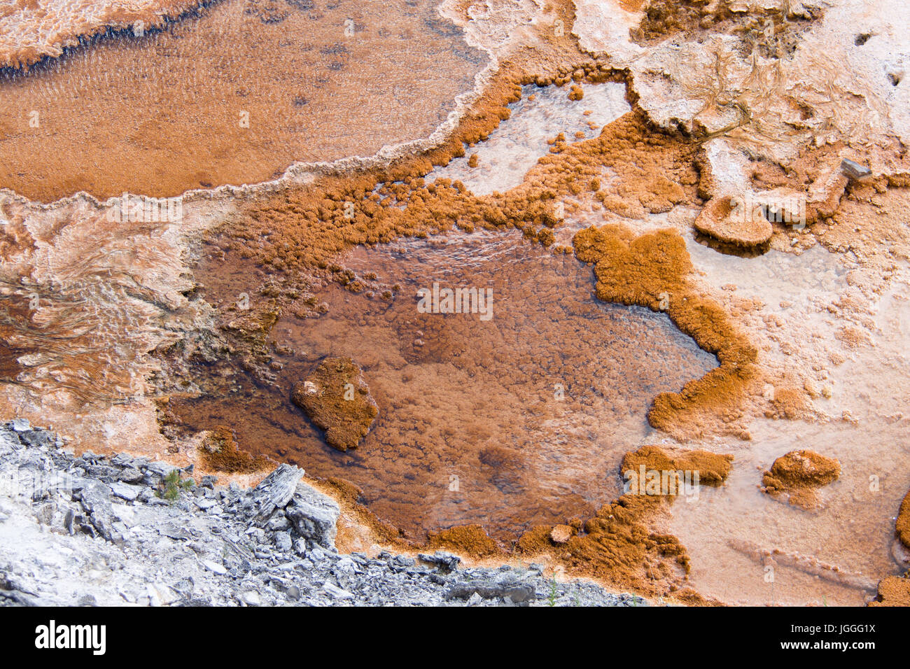 Detail of Mammoth Hot Springs with the typical orange/brown color ...
