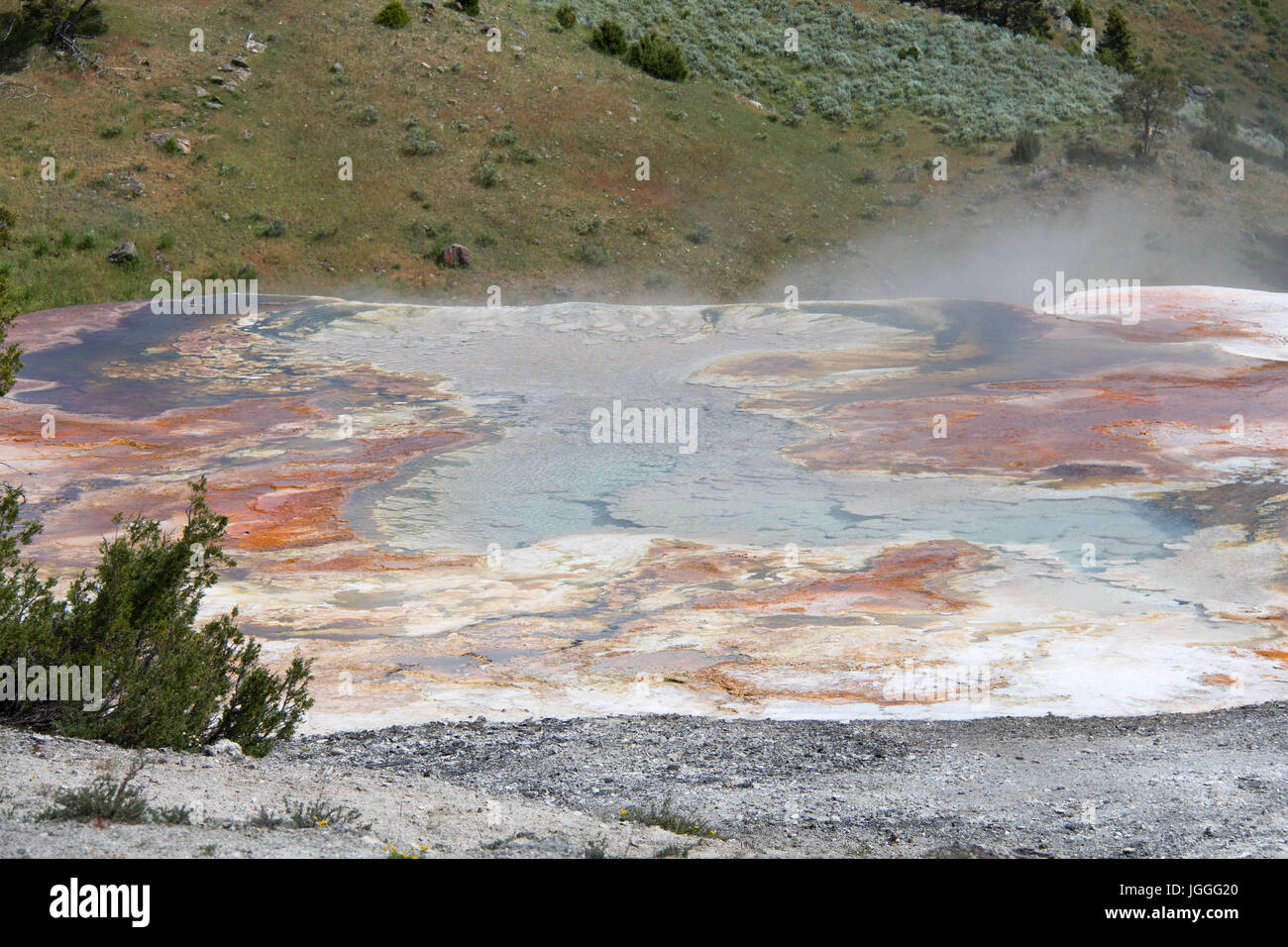 Detail of the top of Palette Spring, Mammoth Hot Springs, Yellowstone ...