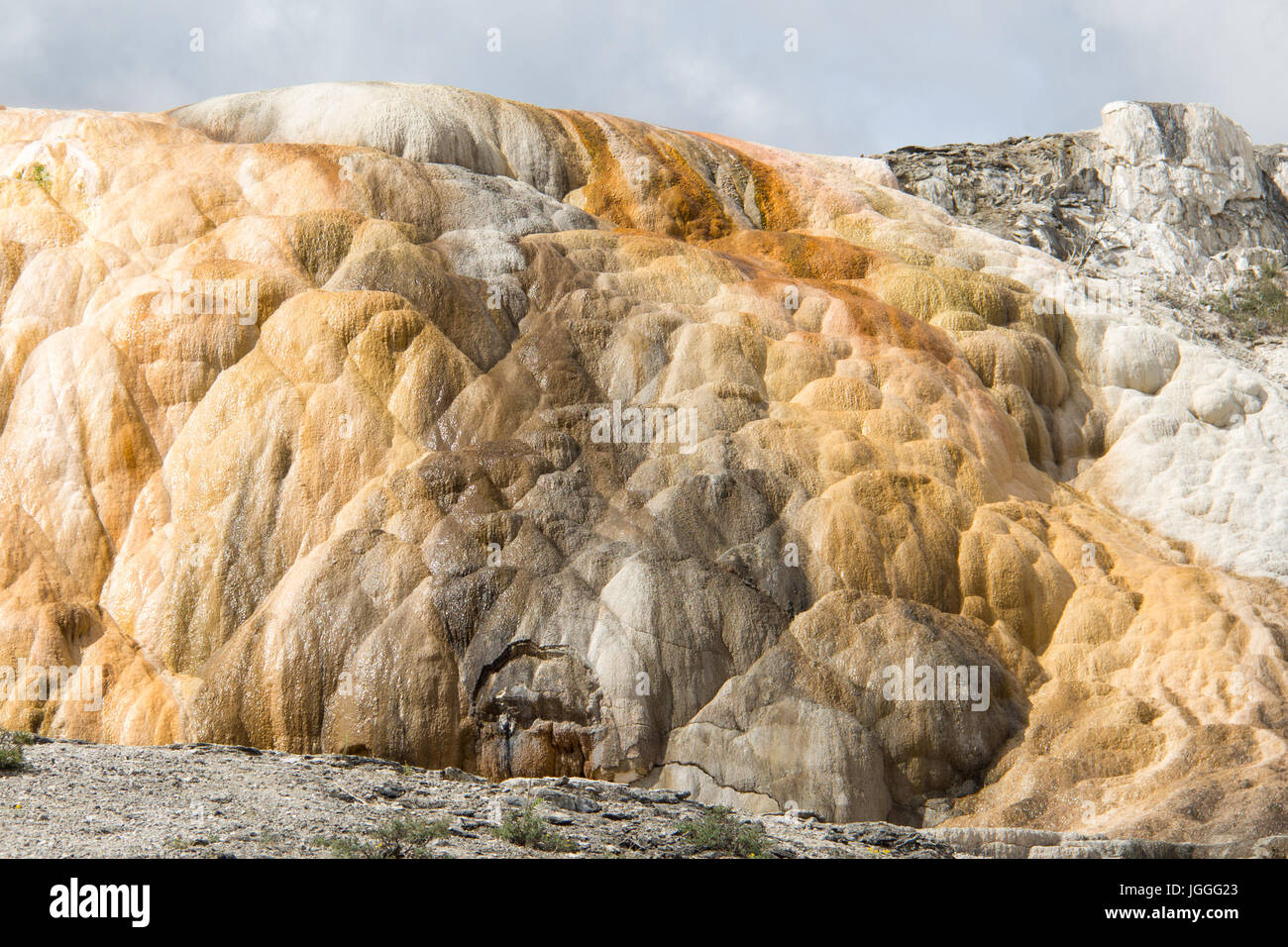 Detail of Cleopatra Terrace at Mammoth Hot Springs, Yellowstone ...