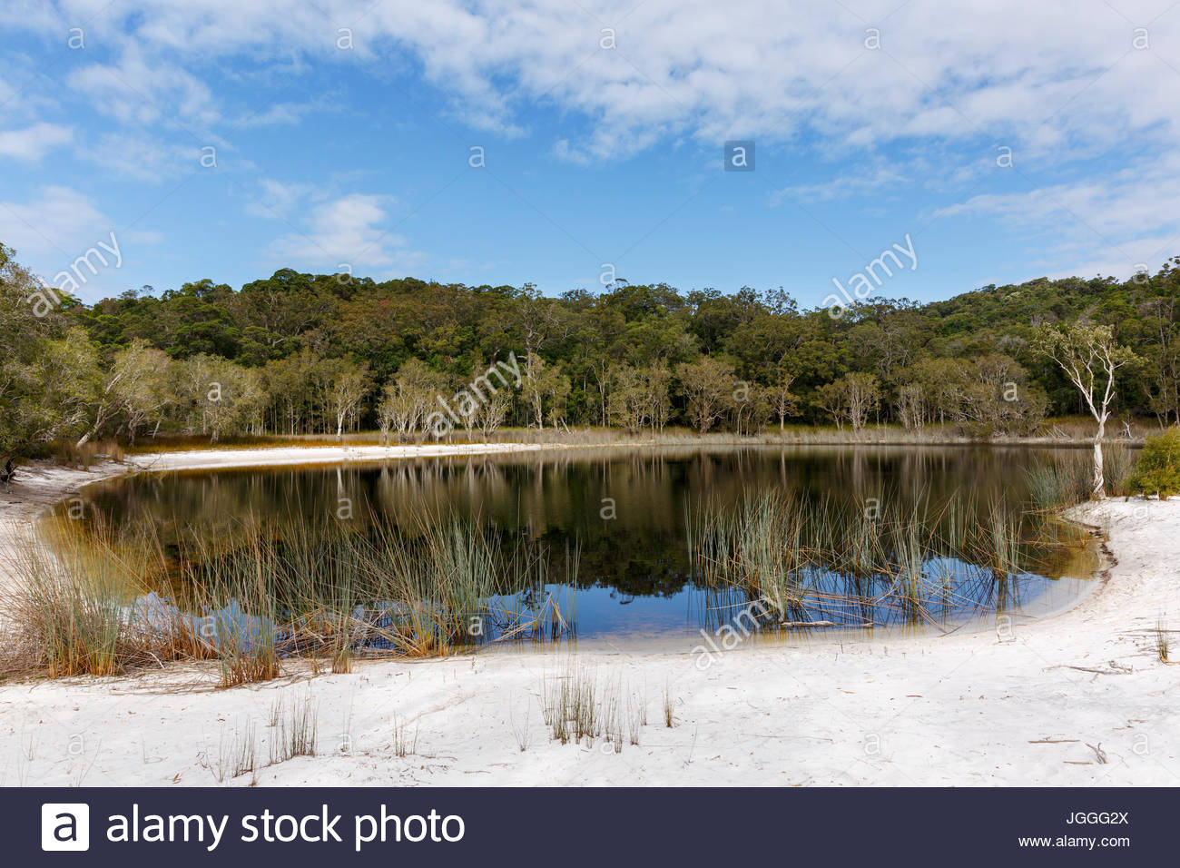 Poona Lake, Cooloola Recreation Area, Great Sandy National Park Stock ...