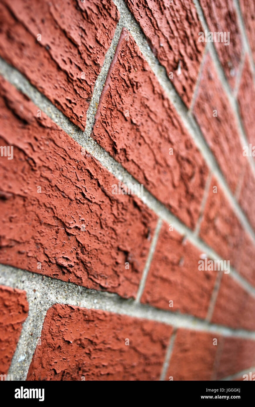 Winged ants crawling up a red brick wall Stock Photo - Alamy