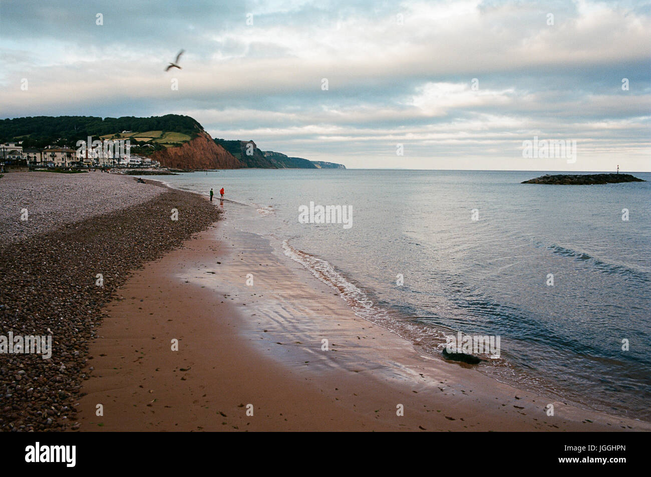Devonshire Coast High Resolution Stock Photography and Images - Alamy