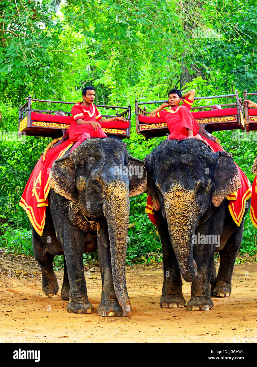 Elephant riders hi-res stock photography and images - Alamy