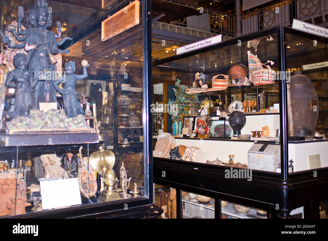 Pitt River Museum,Collection of Objects picked up over the last Century ...