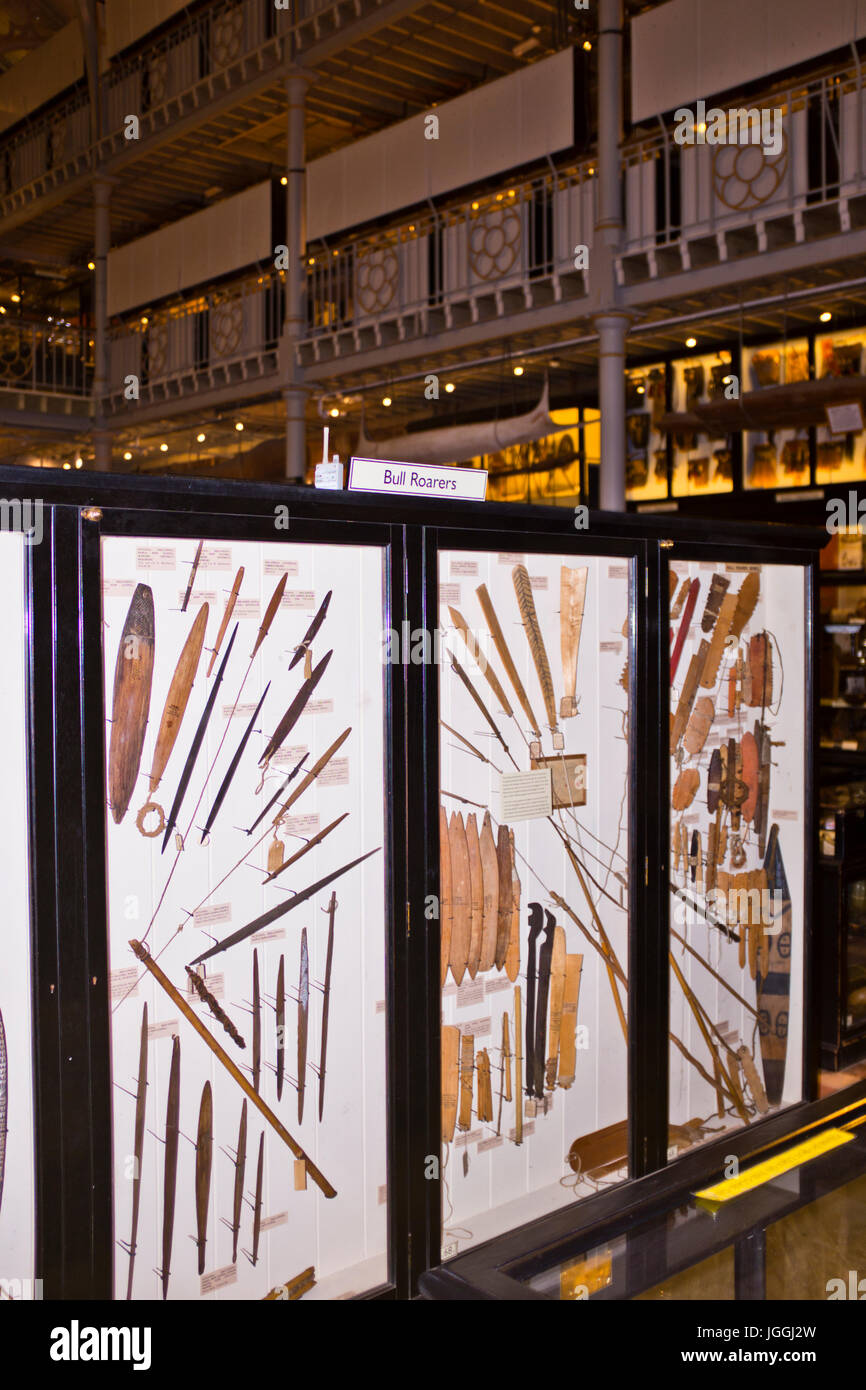 Pitt River Museum,Collection of Objects picked up over the last Century ...