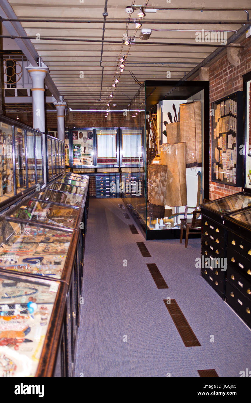 The museum was founded in 1884 by lt general augustus pitt hi-res stock ...